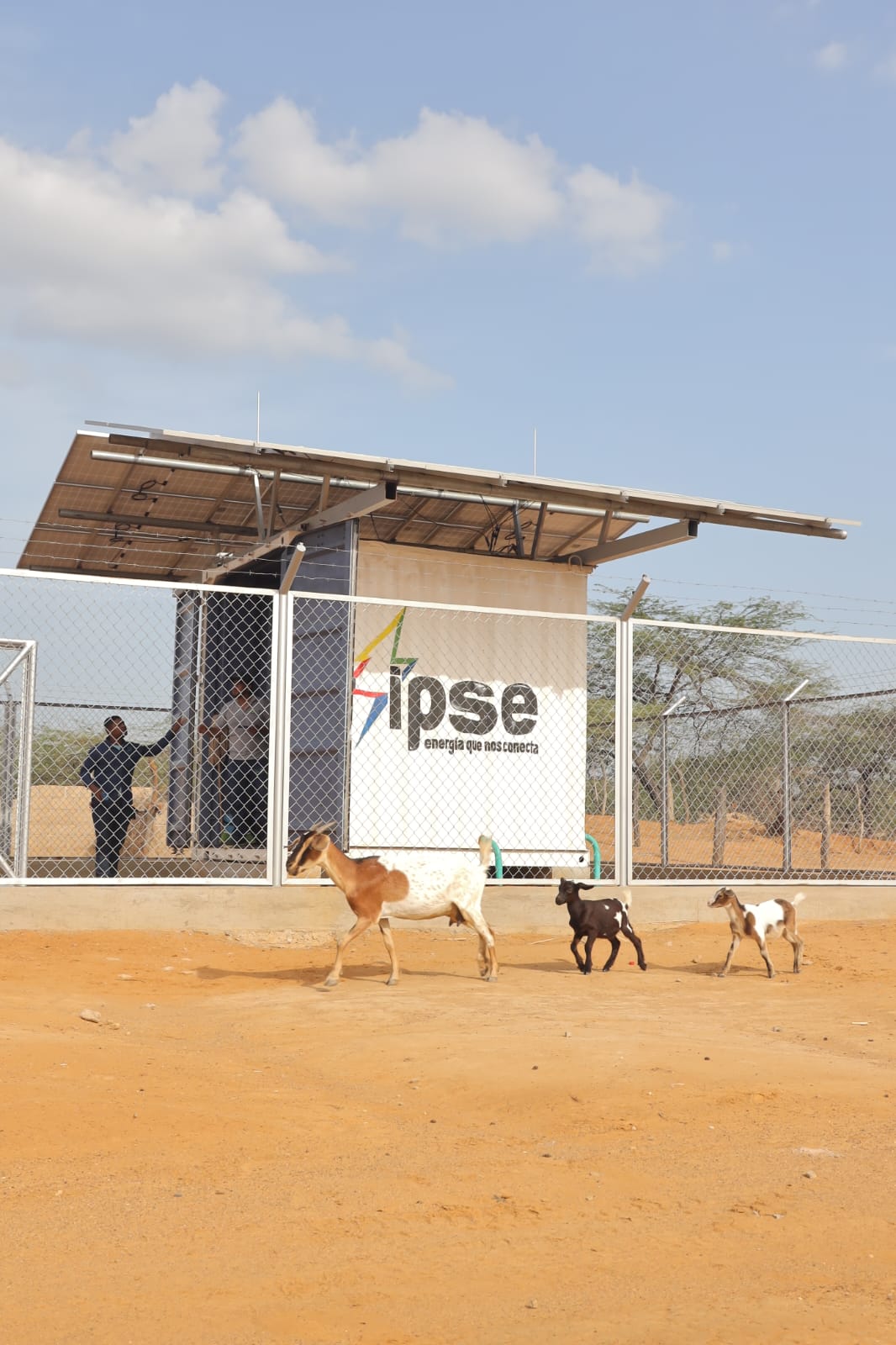 Conoce más de la actualidad del IPSE siguiendo nuestras Redes Sociales ...